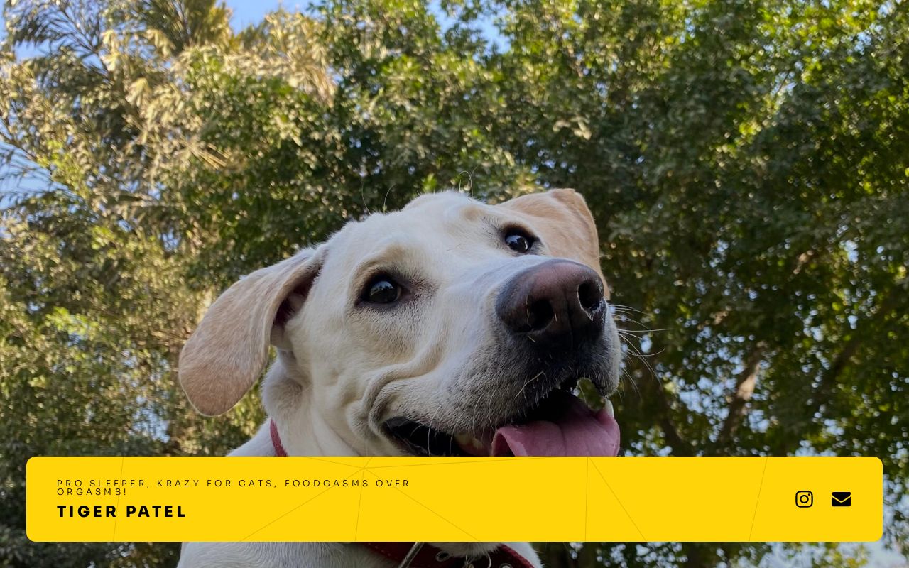 Tiger Patel | Waging Tails and Adventures